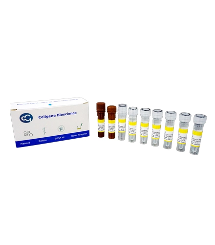 BlueGene Biotech: Elisa Kits, Recombinant Proteins, Plasmids & Other ...
