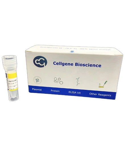 BlueGene Biotech: Elisa Kits, Recombinant Proteins, Plasmids & Other ...